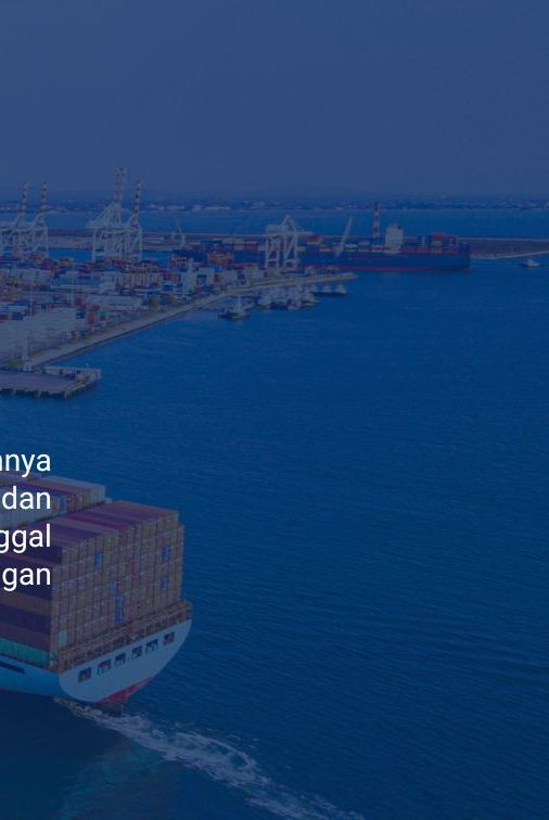 Official Website Indonesia National Single Window