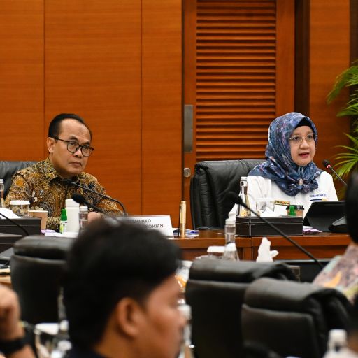 Official Website Indonesia National Single Window